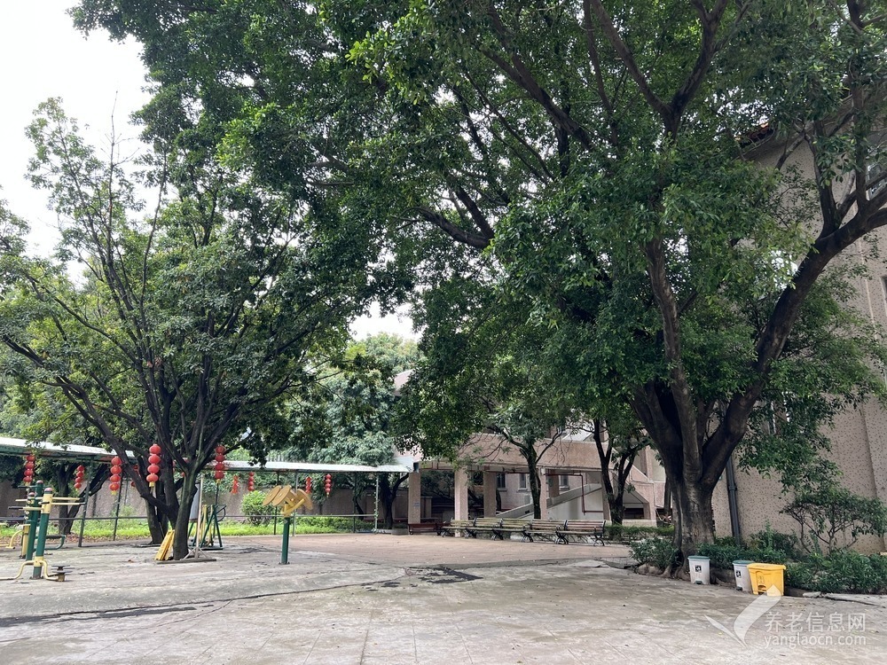 广州花都区哪家养老院好？-养老信息网