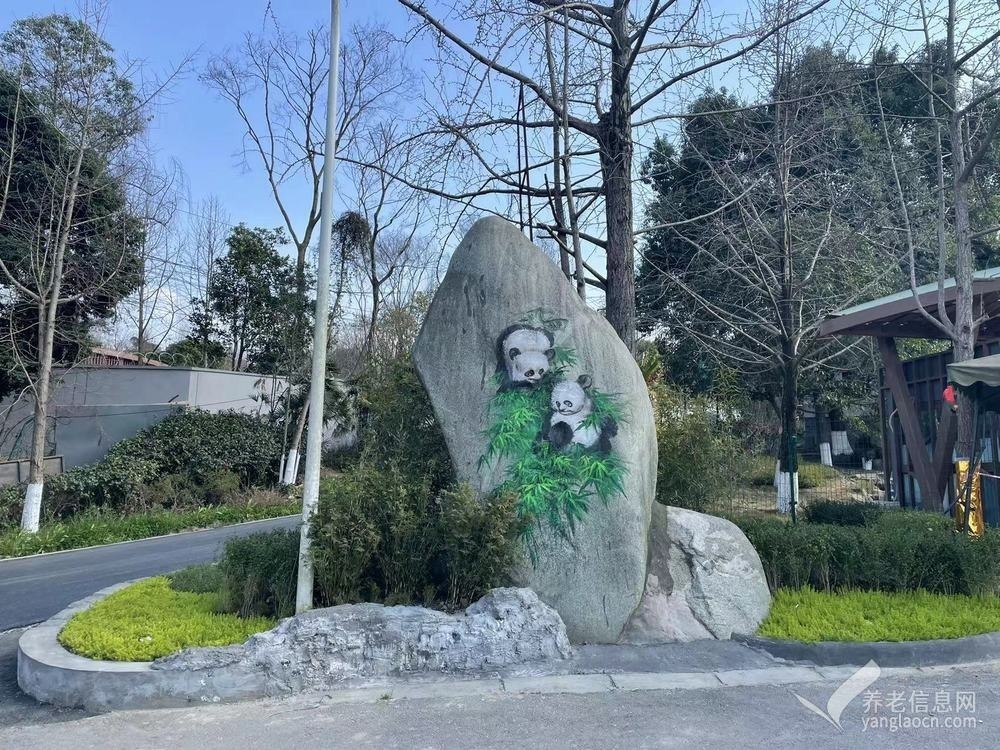 金牛区养老机构收费标准：从普惠到中高端-养老信息网